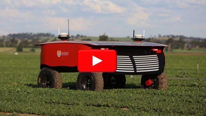 Rippa et Ladybird les robots agricole australien