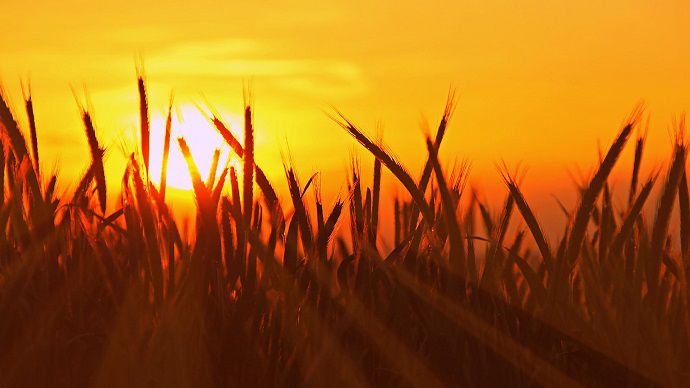 Climat sec et chaud en France et en Allemagne