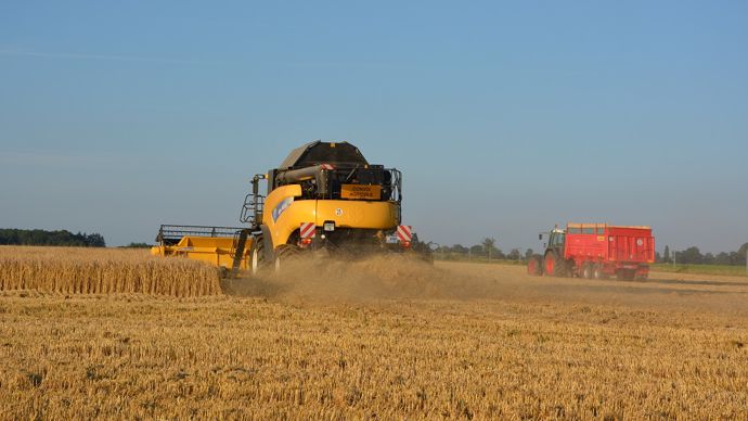 Trois semaines d'avance pour la moisson des céréales