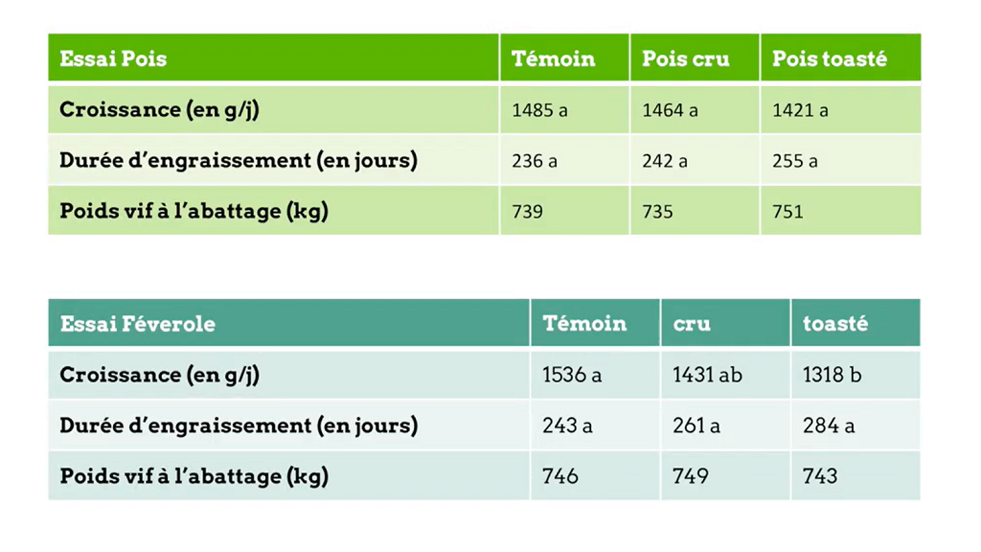 Performances à l'engraissement des pois, féveroles et tourteaux de soja