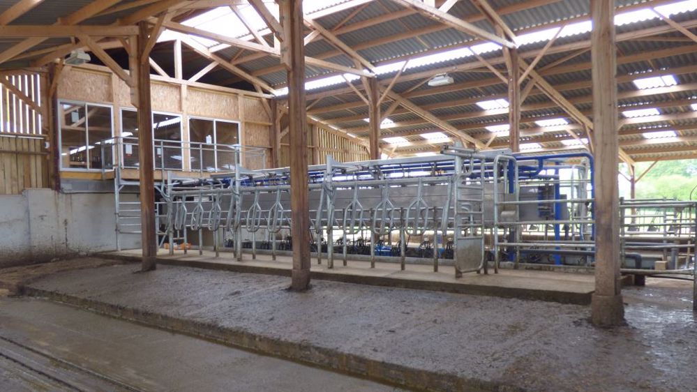 Visite d'une stabulation vaches laitières en bois