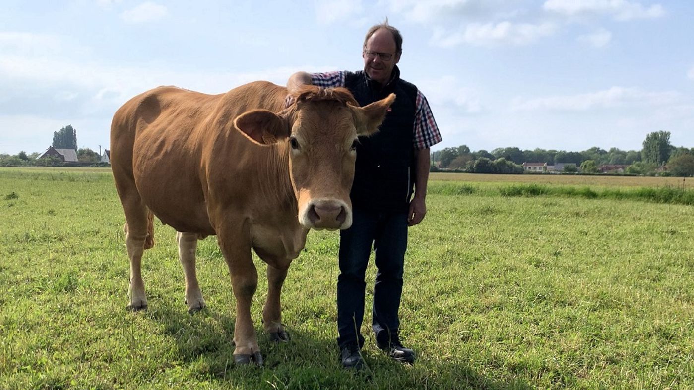 Reportage : Avec le transfert d'embryons, la viande devient un co-produit
