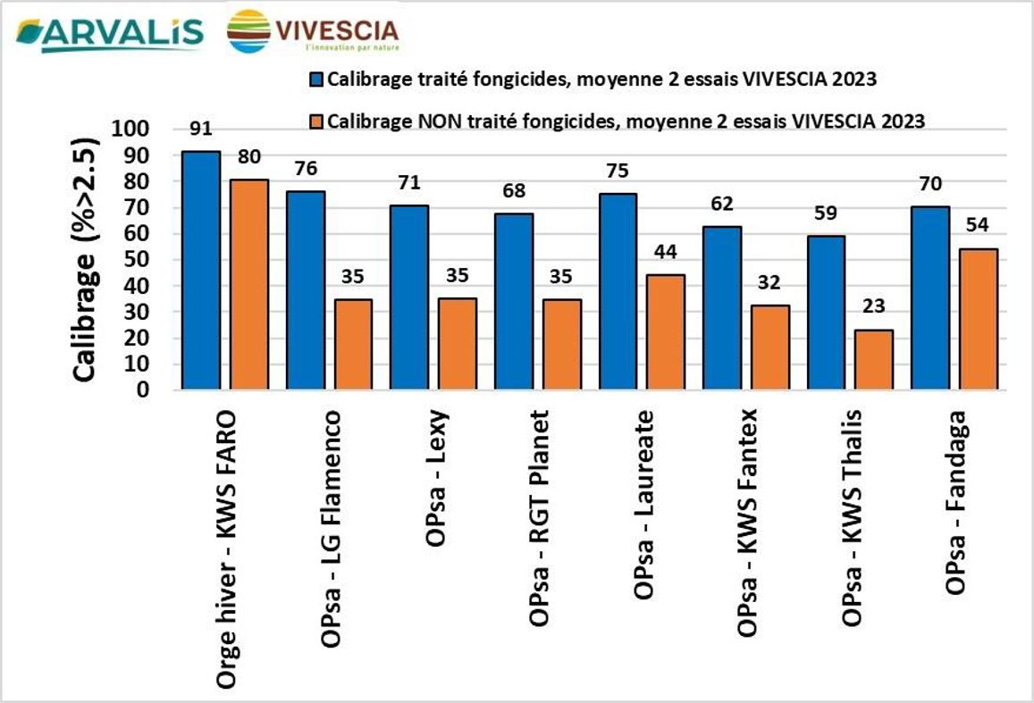 Orges de printemps à l'automne : 2023 remet en avant la gestion des ...