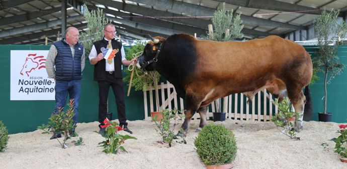 National parthenais : Concours parthenaise : honneur aux animaux mixtes ...