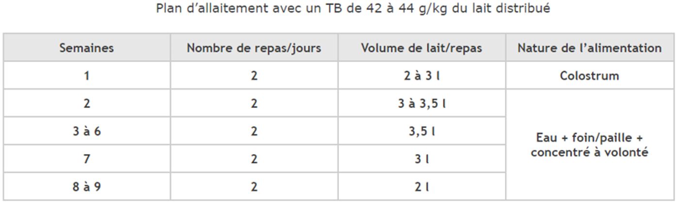 Distribuer du lait entier aux veaux