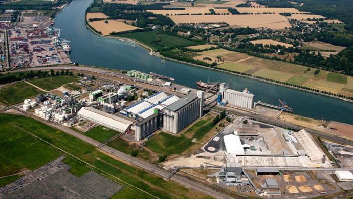 Biocarburants : 10 000 t de colza et tournesol « durables » commercialisées