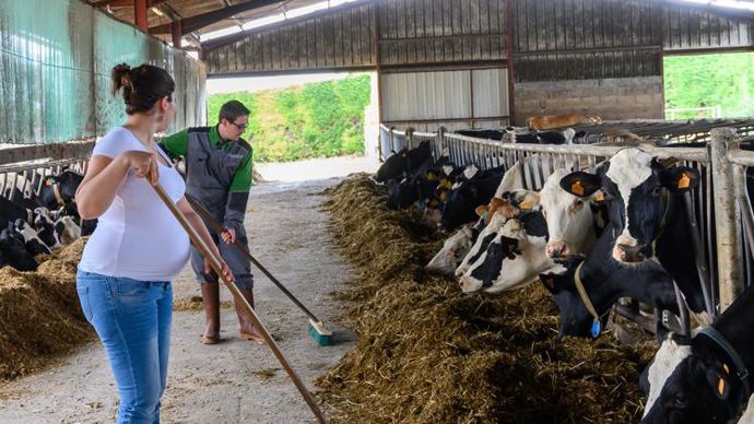 Travail : Le service de remplacement pourrait mieux jouer son rôle social