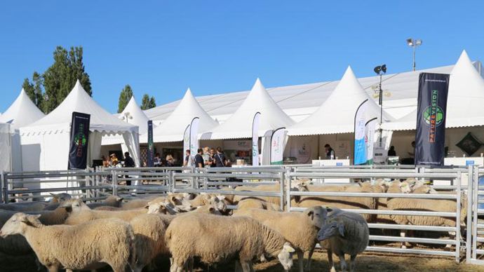 Elevage : Un salon Tech-Ovin tourné vers l’innovation