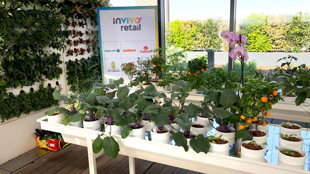 InVivo retail : changer de mains pour mieux grandir