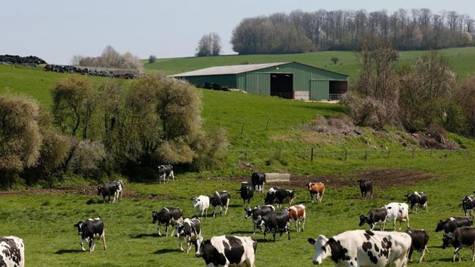 Congrès de l’AFDR : Débat autour du statut des animaux