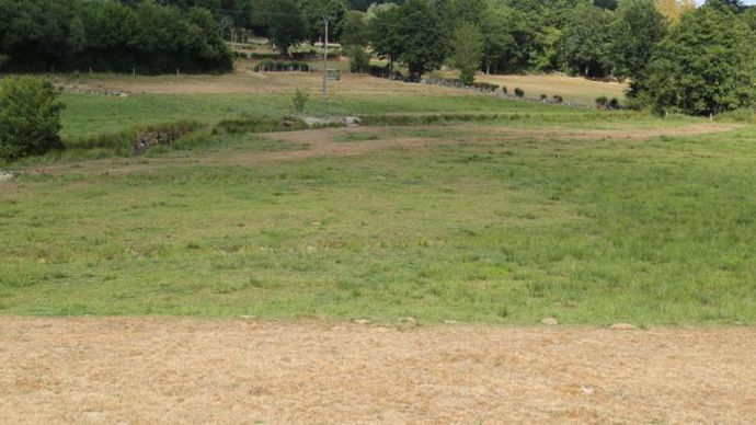 Prairies permanentes : La pousse de l’herbe déficitaire dans un large ...