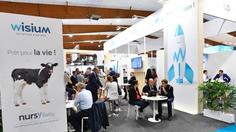 Inzo° et Prisma se fondent dans Wisium