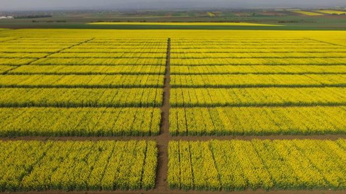 Semences : Staphyt étend son réseau d’expérimentation