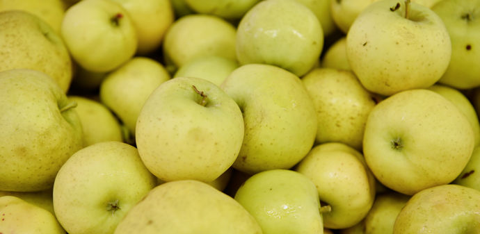 Prix de vente : Les producteurs de pommes veulent 0,20 €/kg en plus