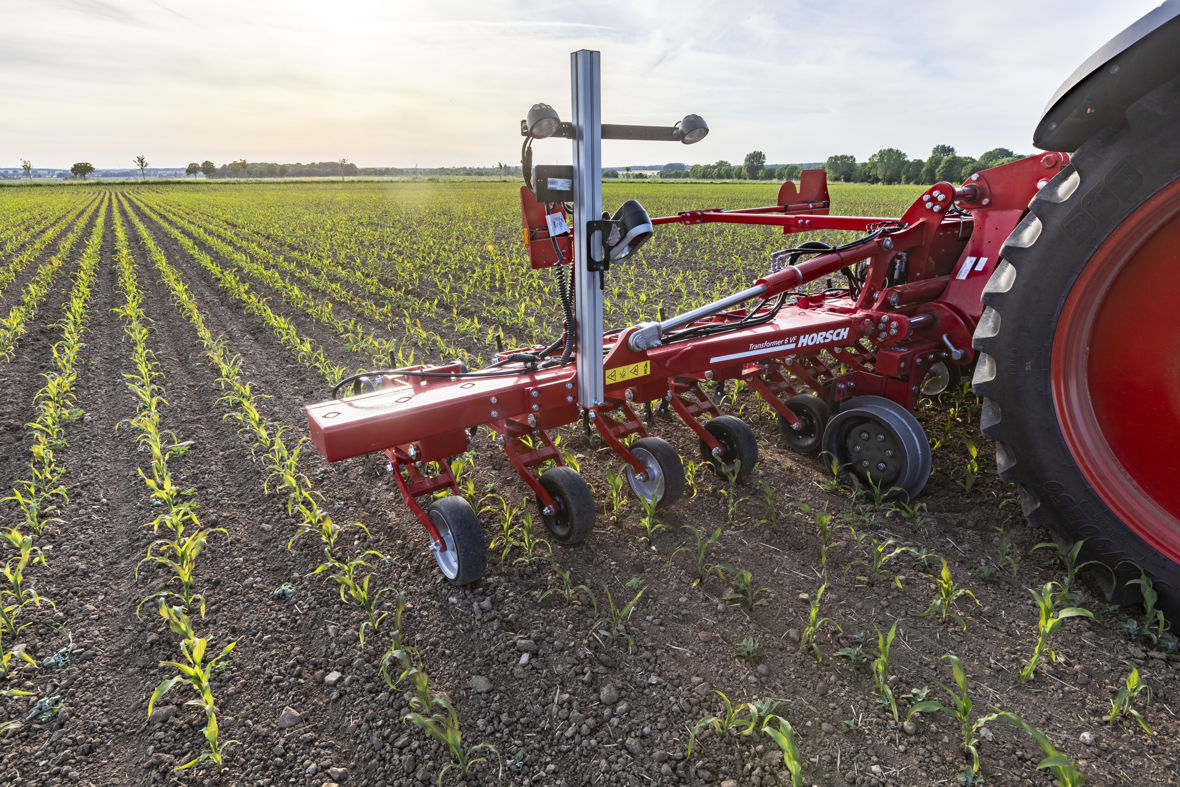 La bineuse Horsch Transformer VF mieux guidée avec la caméra Claas CultiCam