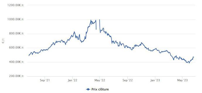 Oléagineux : le colza continue de se replier
