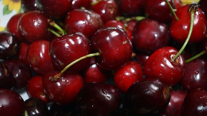 Le ministère assure les producteurs de cerises de son soutien