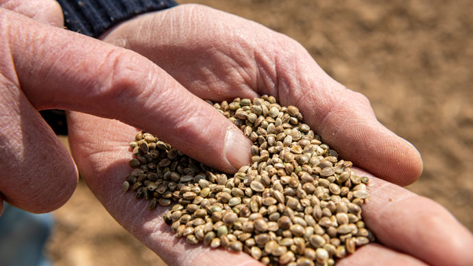 Bruxelles veut simplifier la réglementation sur les semences