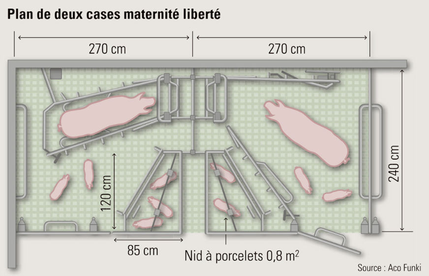 Améliorer le bien-être des porcs et celui de l’éleveur