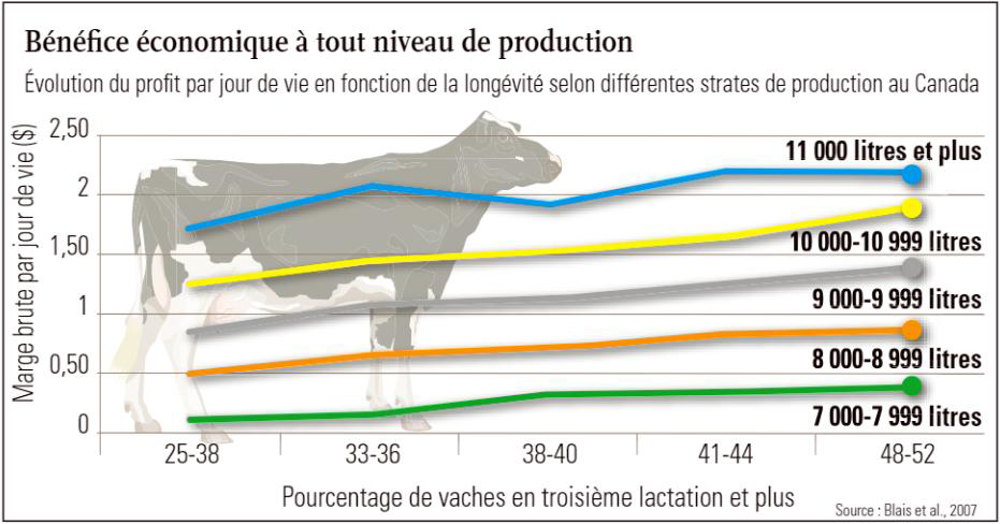 Améliorer la longévité des vaches laitières
