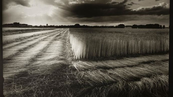 40 clichés autour du lin