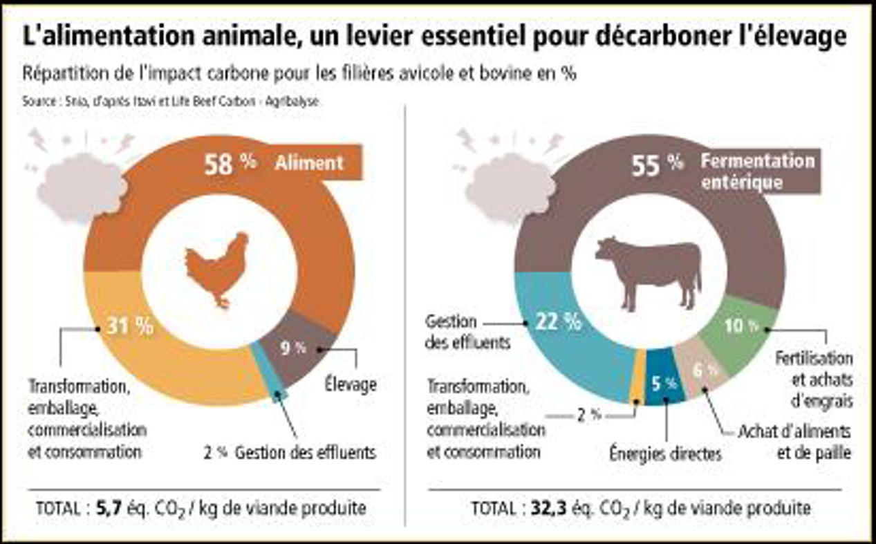 Pourquoi la nutrition animale contribue à réduire l’impact ...