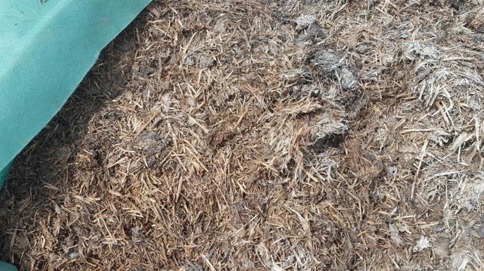 Éviter les carences en phosphore et potasse en bio