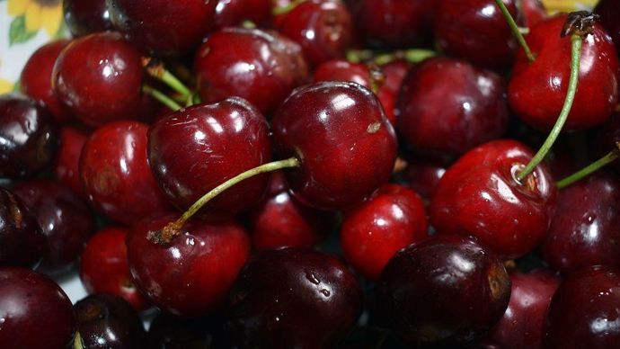 Clap de fin pour le fongicide fenpyrazamine