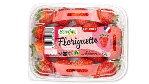 Savéol lance une nouvelle variété de fraise en 2025