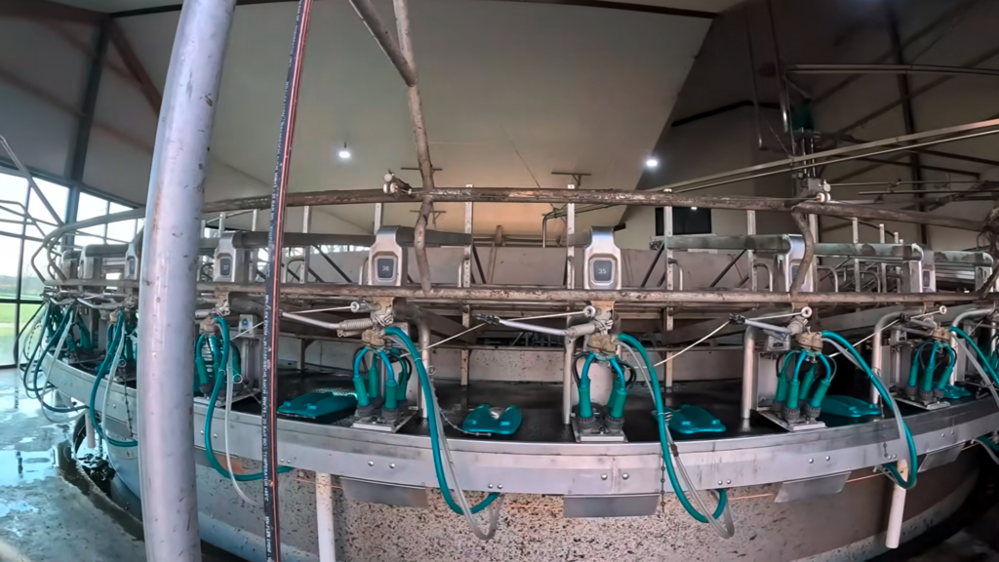 Le roto de traite GEA T8600 aux Pays-Bas