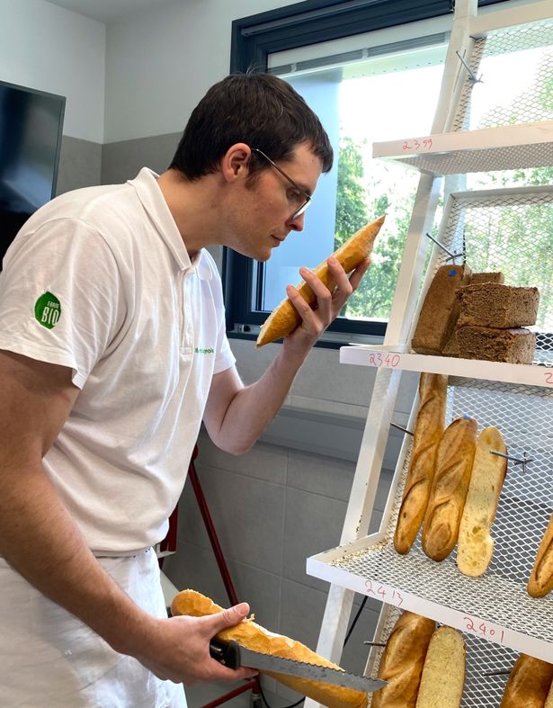 Les tests de panification, mesure de la qualité et de la régularité des ...