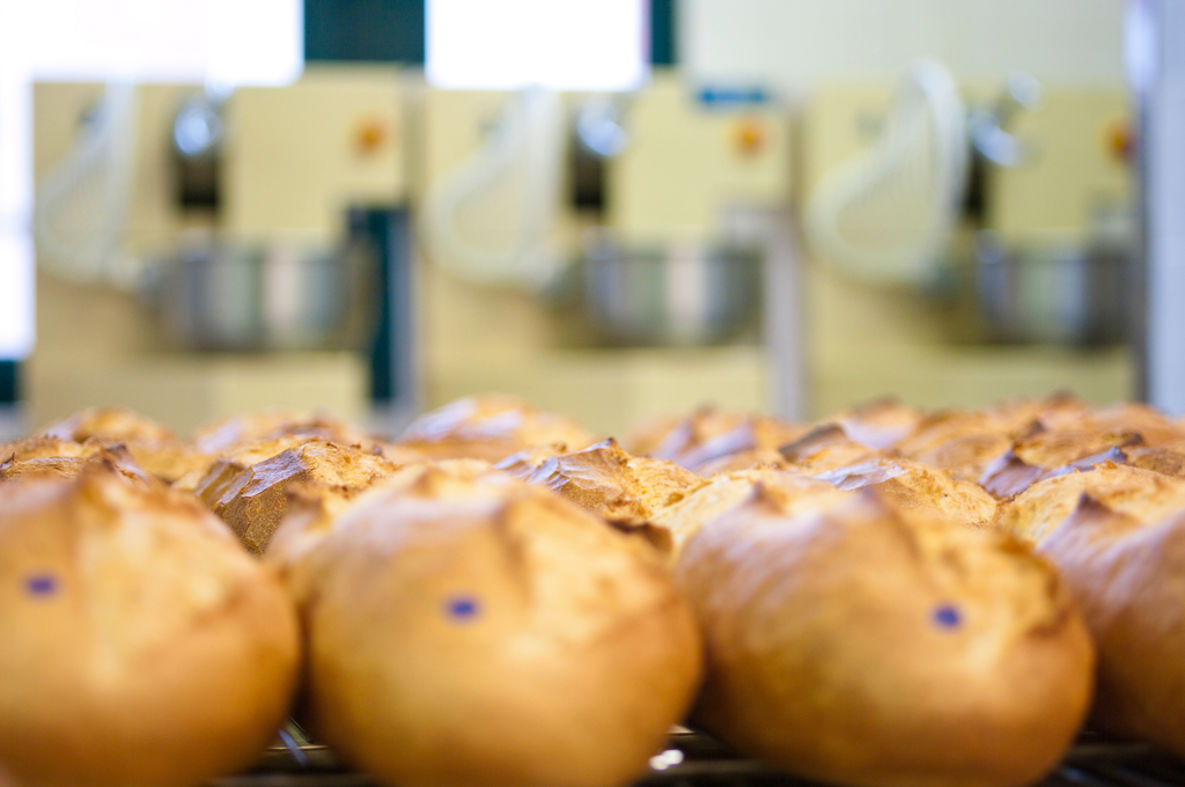 Les tests de panification, mesure de la qualité et de la régularité des ...