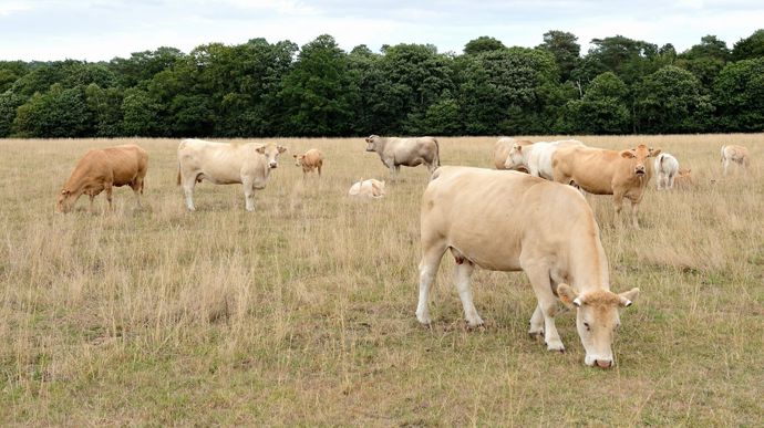 Bokep janda her apt is nothing special and as someone else