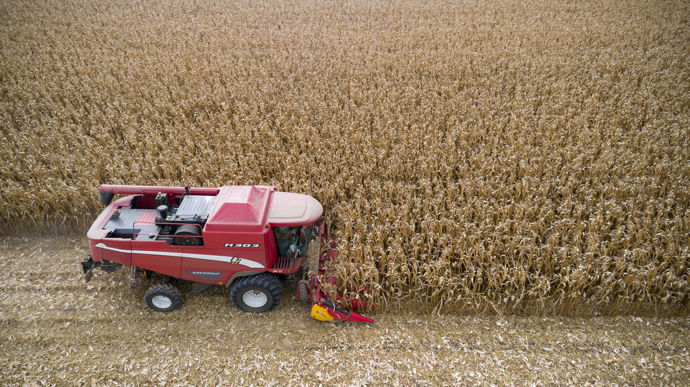 Production et consommation de maïs sont soutenues en 2025-2026