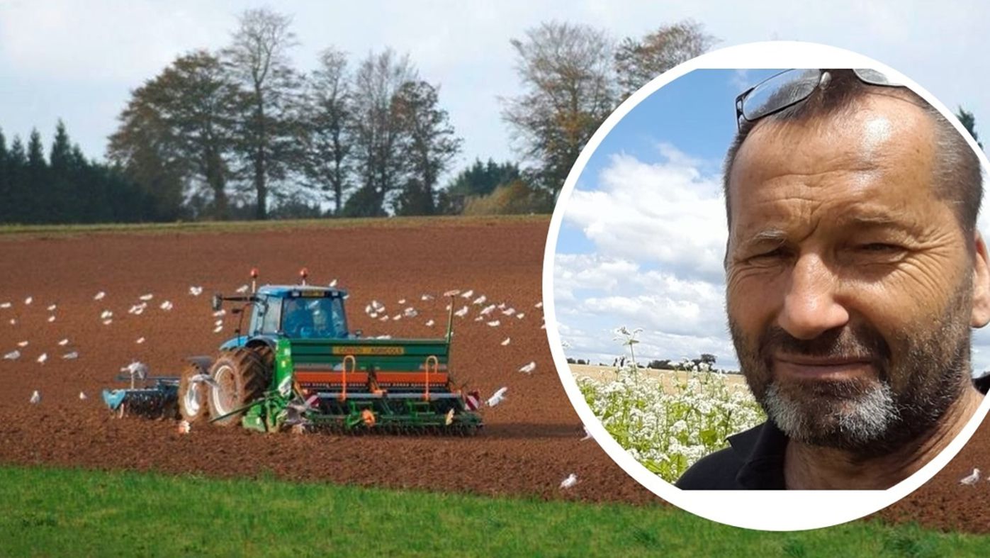 semer du blé sans traitement de semences