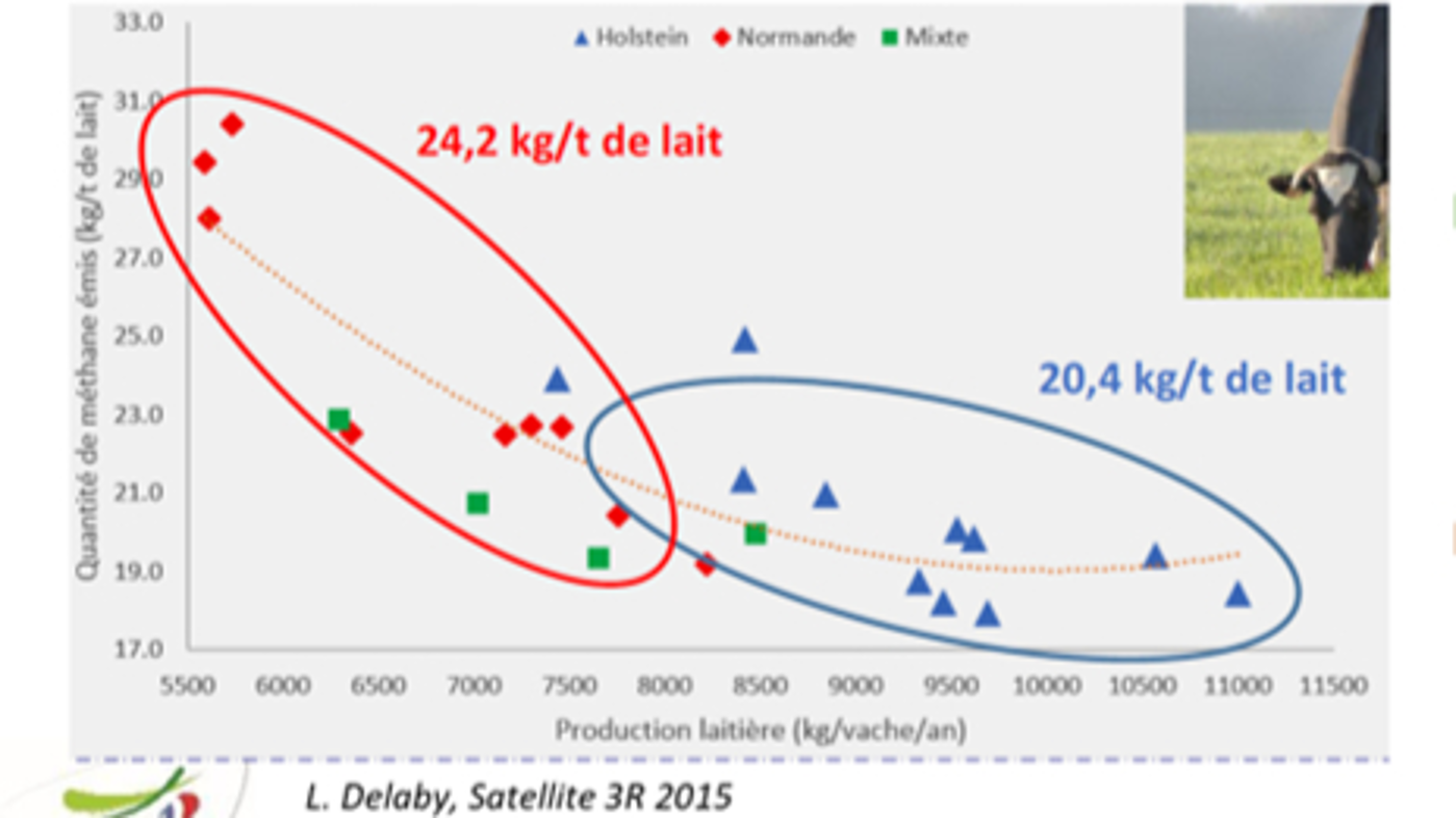 Réduire les émissions de méthane en élevage bovin