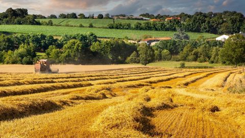 Accord de financement entre Limagrain et la BEI